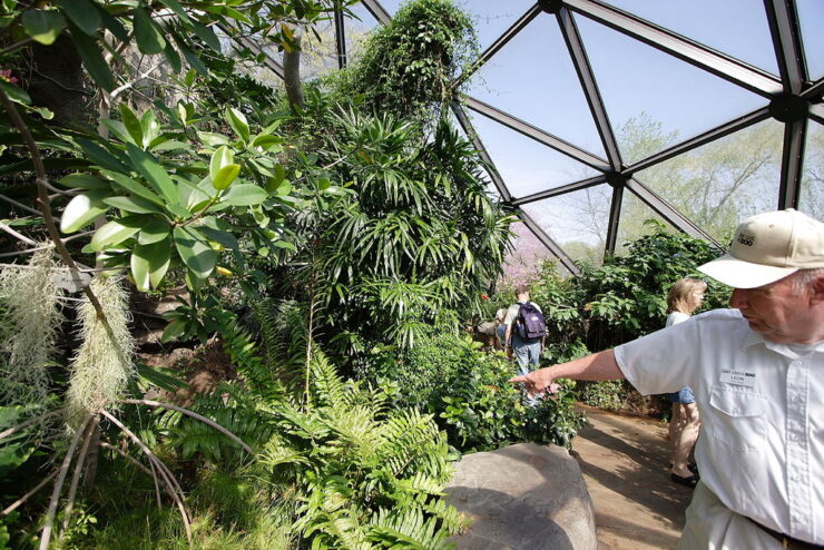 St. Louis Zoo: The Ultimate Guide to Free Admission - The Happy Passport