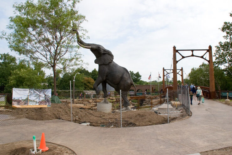 St. Louis Zoo: The Ultimate Guide to Free Admission - The Happy Passport